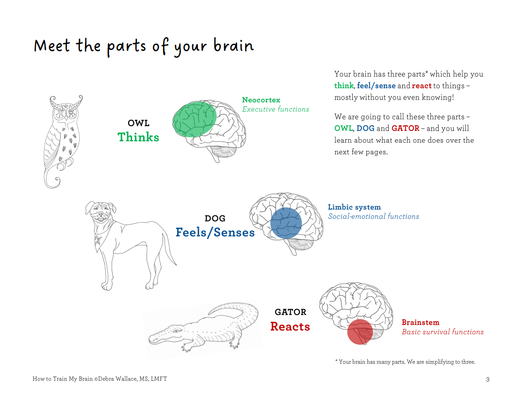 meet parts of brain – Positive Reframe